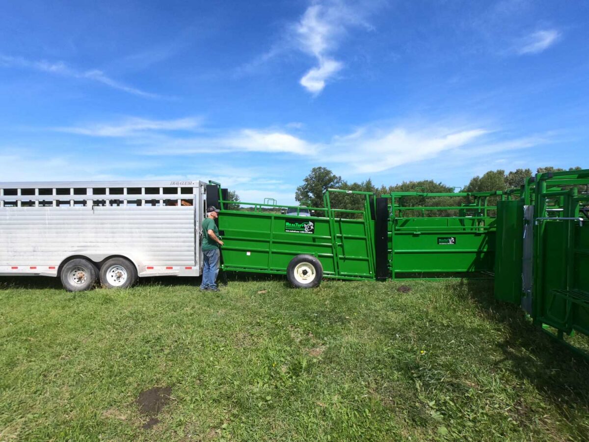 Loading Chutes – Freeland Livestock Equipment